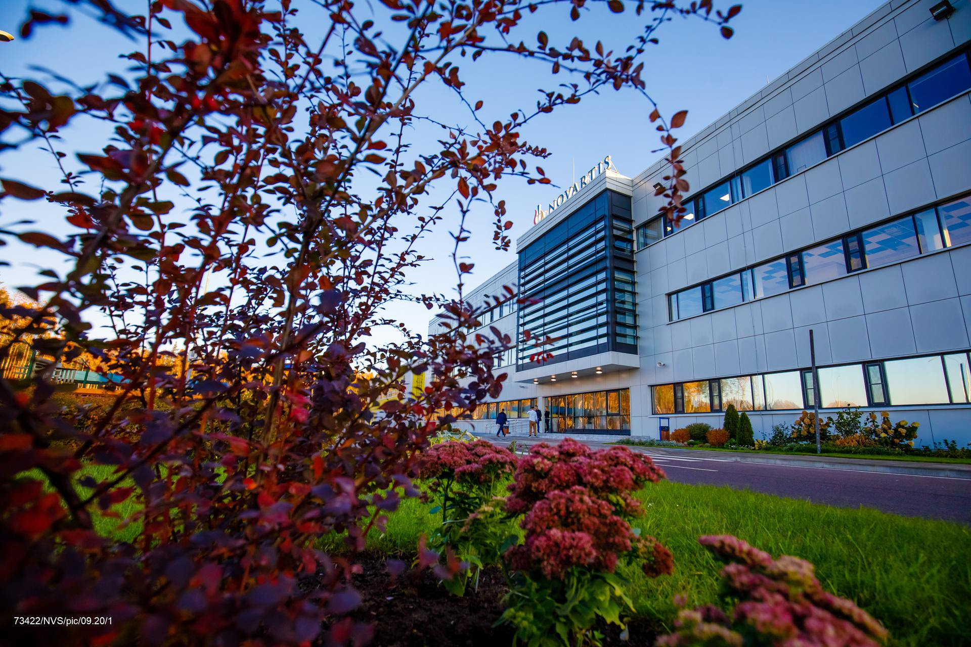 Novartis Changes Organizational Structure To Save At Least $1 Billion ...